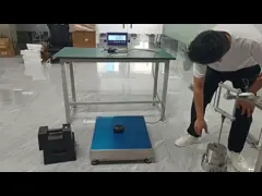 High Stability Platform Scale Test