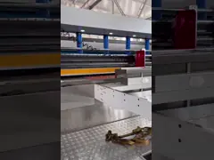 printer slotter die cutter stacker