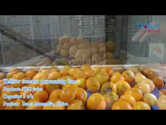 Onion Garlic Ginger Paste 60T/D Tomato Processing Line