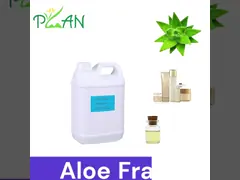 Natural Aromatic Aloe Vera Essence Oil 0.1%-0.5% Add Ratio Dulcet Aroma