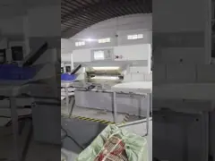 Видео Техническая поддержка Поляр 115 Режущая машина Германия Автоматическая система разгрузки