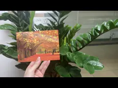 Oso marrón en Alaska Tarjeta lenticular Tarjeta de regalo para turistas Tarjetas postales en 3D
