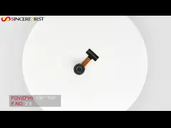 China 3MP ESP32 Cam Module OV3660 Cmos Sensor Wide Angle Fisheye Camera Module Voor ATM Te koop