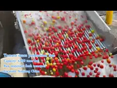1500 T/D Tomato Processing Line High Extracting Rate CE Certification