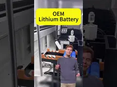 OEM lithium battery