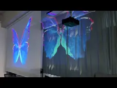 holographic