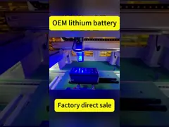 OEM lithium battery