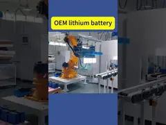OEM lithium battery