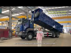 China Rear Camera None Howo Dump Truck Sinotruk Howo 8x4 Dump Truck 371 420 Hp 12 Wheel for sale