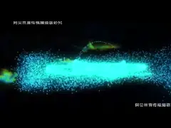 Wooden Brush Factory-wave brush beard brush body brush