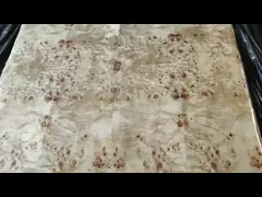 Poplar Burl Veneer A grade