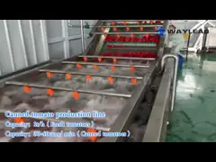 1kg tomato can packaging machine