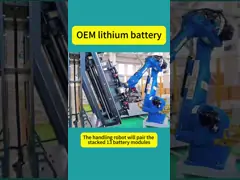 OEM lithium battery