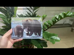렌티큘러 엽서 인쇄 투칸 야생 동물 3D 엽서 동물원 팩 바다 생물
