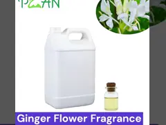 China 100% Pure Ginger Flower Fragrances Oil Essence Oil Environmentally Friendly for sale