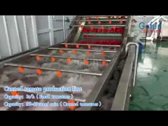 Commercial 380V Tomato Processing Line / Tomato Puree Processing Plant