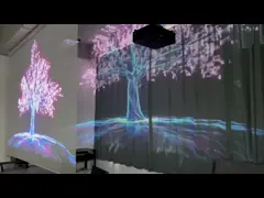 holographic