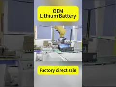 OEM lithium battery