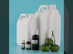 Natural Fruit Fragrance Oil Citrus Fragrance Essence Oil for Toy Making