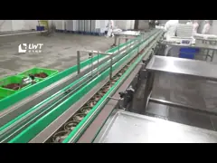 Canned fish production line