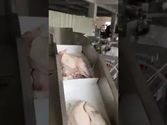 China Meat Frozen Food Packaging Machine Food Grade Stainless Steel 304/316 Vacuum Preservation Sealing for sale