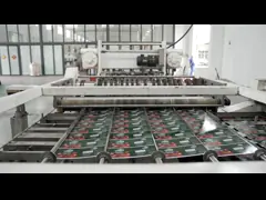 Print iron
