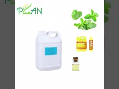 High Concentrated Peppermint Essential Oil Natural Mint Fragrance Oil