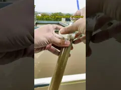 Flocculants Polyacrylamide PAM Polyelectrolyte for Water Treatment