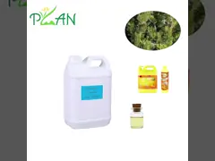 China 100% Organic Pine Wood Fragrance Essential Oil for Dish Soap Perfume Making for sale