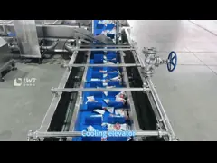 Bag Tomato Sauce Cooling And Drying Production Line