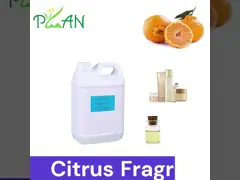 China Citrus Aroma Liquid Fragrance Oil - Sweet Scented Natural Extract Essence Oil Concentrate For Skin Care Making for sale