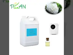 100% Pure White Tea Fragrance Essence Oil Perfumed Essential Oils
