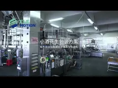 YD-PXZK-2031 Parallel Type Rotary Vacuum Packing Machine 10 stations For Large Bag