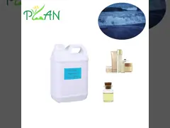 100% Pure Fragrant Ocean Fragrance Essence Oil for Skin Care Products Making
