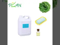 Fresh Sea Salt Herbal Fragrance Essential Oil for Soap Making