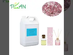 China Sakura Aroma Scent Fragrance Essence Oil With Sweet Cherry Blossom Smell for sale