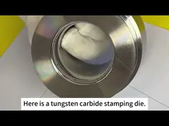 Zhuzhou Sanxin Cemented Carbide - mold