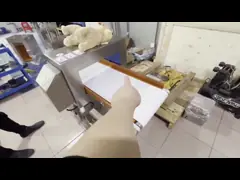 Food Metal Detector Manufacturer