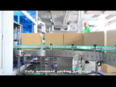 Customized Fully Automatic Garbage Bag Carton Packaging Machine