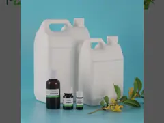 Natural Osmanthus Fragrance Essence Oil For Daily Use And Industrial Applications