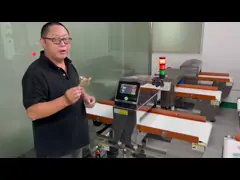 Conveyor Metal Detector Manufacturer