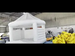 White castle with roof
