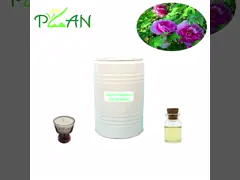 Peony Bloom Candle Fragrances Long Lasting Fragrance Essential Oils
