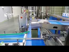 LWT Automatic Palletizer System For 20L Bottled Water CE