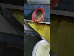 cold oil press