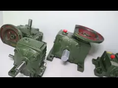 Wpa/Wps 40 50 60 70 80 100 120 135 147 155 175 200 250 Cast Iron Speed Reducer Worm Gearbox Reducer