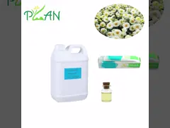 China High Purity Chrysanthemum Base Fragrance Essence Oil Toothpaste Perfume Oil For Toothpaste Making for sale