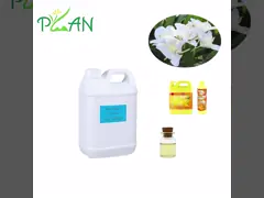 China Ginger Flower Fragrance Essential Oil with Environmentally Friendly Formula for sale