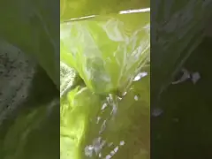 cold press oil cake soybean extraction machine