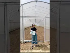 Plastic Film Greenhouse